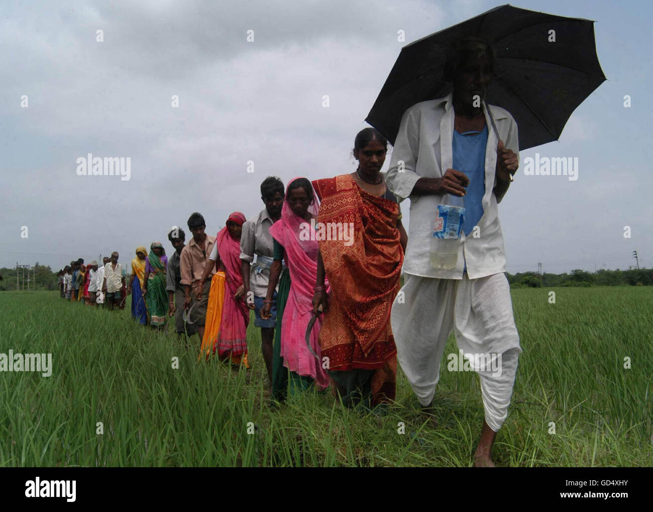 Workers in the fields hi-res stock photography and images - Alamy