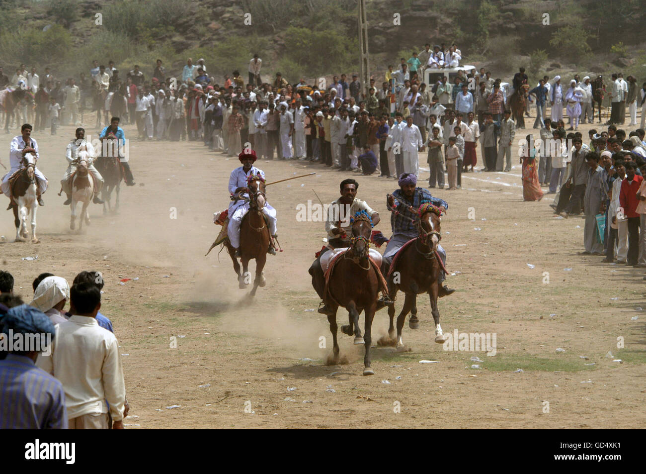 Gujarat camels hi-res stock photography and images - Alamy