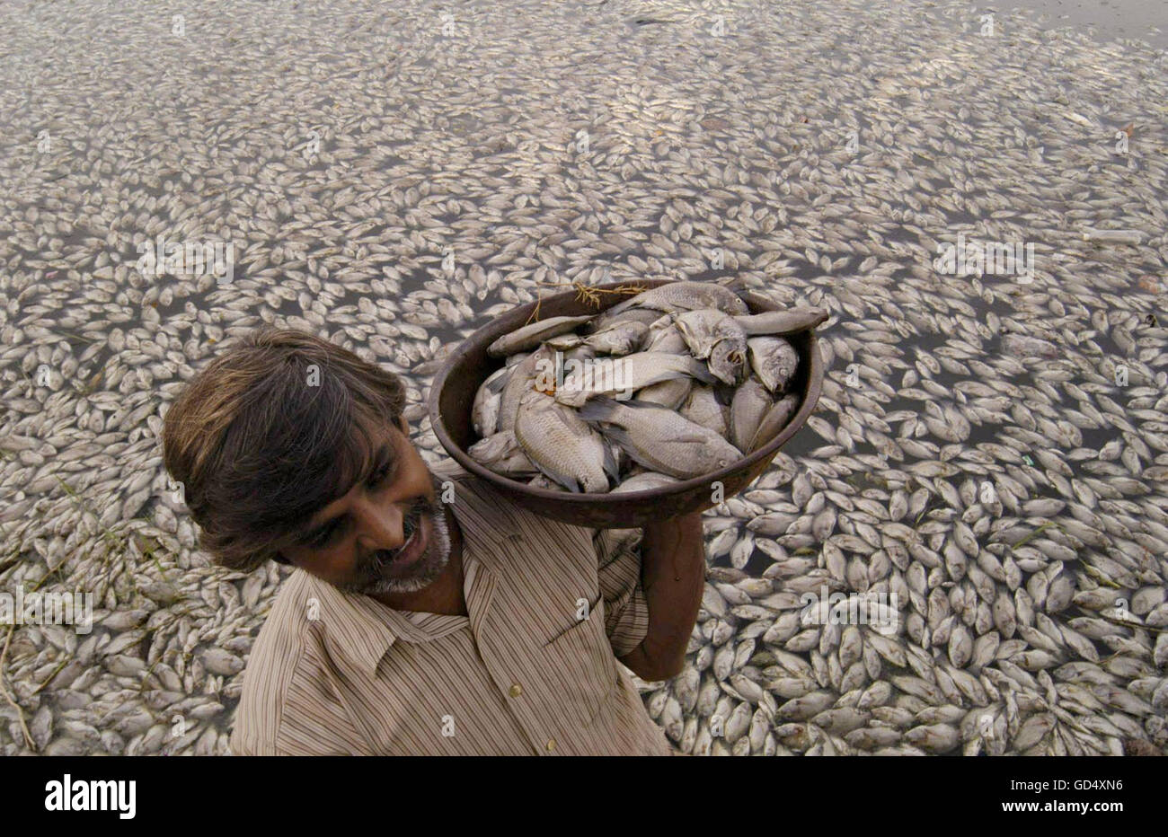 Man carrying fish Stock Photo - Alamy