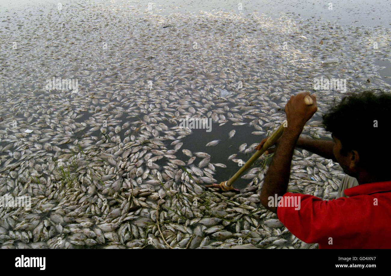 Man carrying fish Stock Photo - Alamy