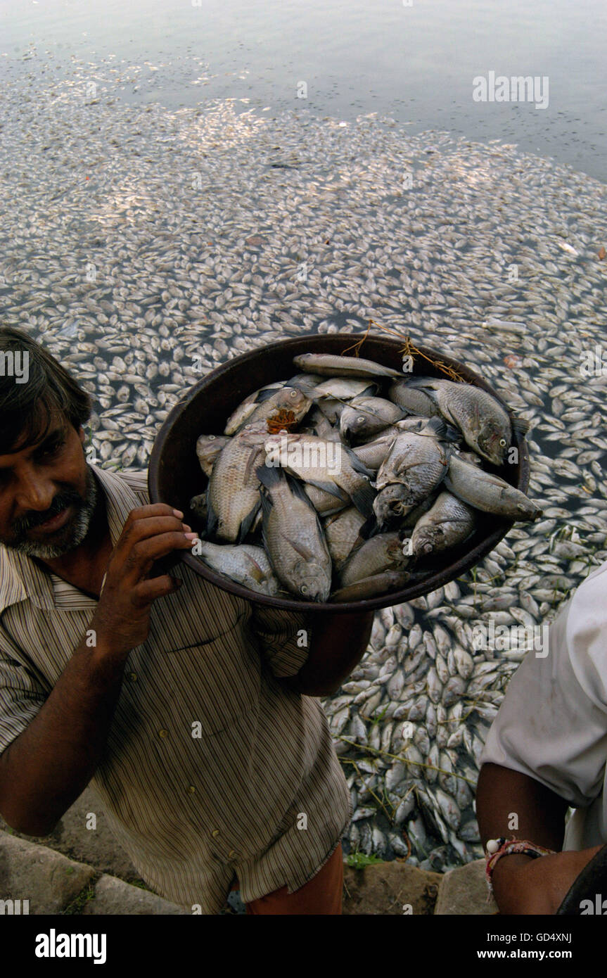 Man carrying dead fishes Stock Photo - Alamy
