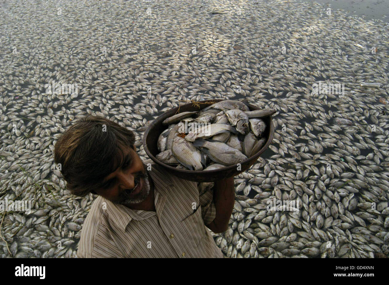 Man carrying dead fishes Stock Photo - Alamy
