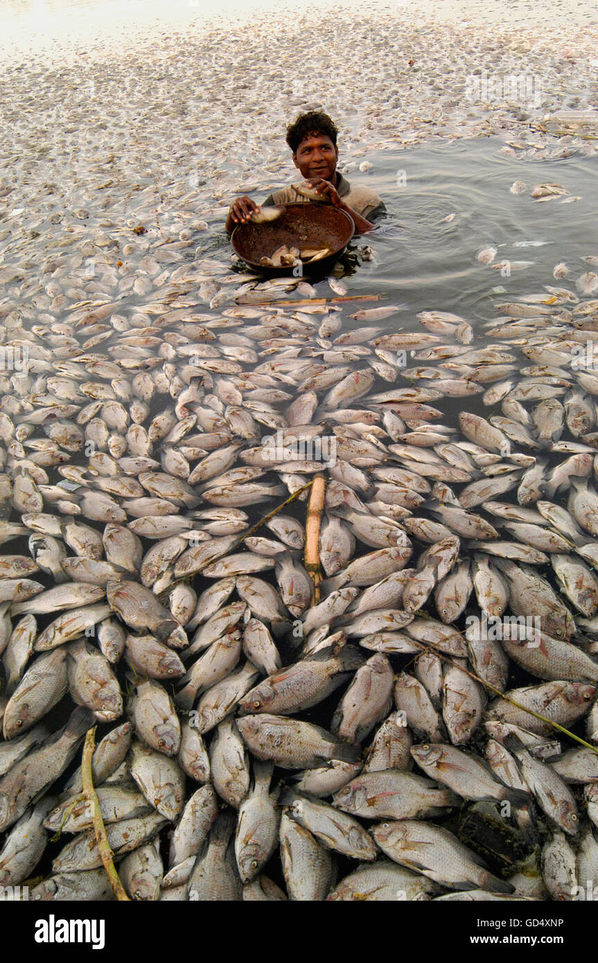 Man carrying dead fishes Stock Photo - Alamy