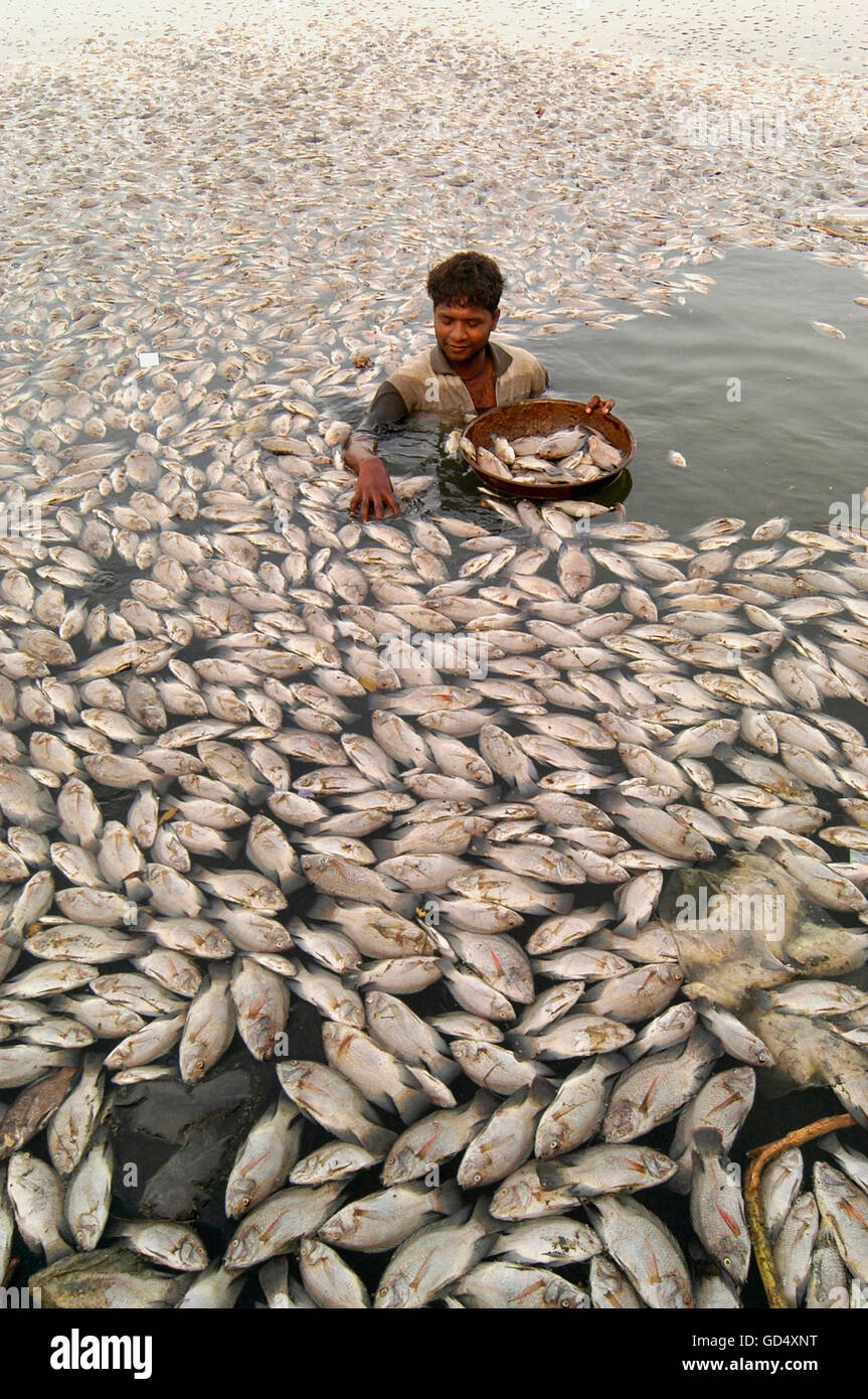 Man carrying dead fishes Stock Photo - Alamy
