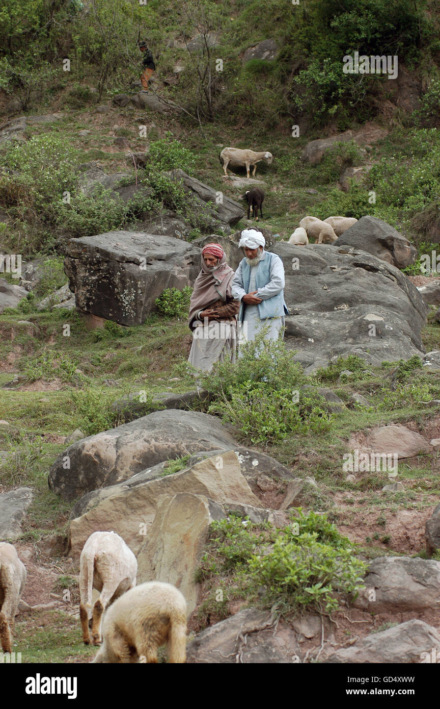 Kashmiri shepherds hi-res stock photography and images - Alamy