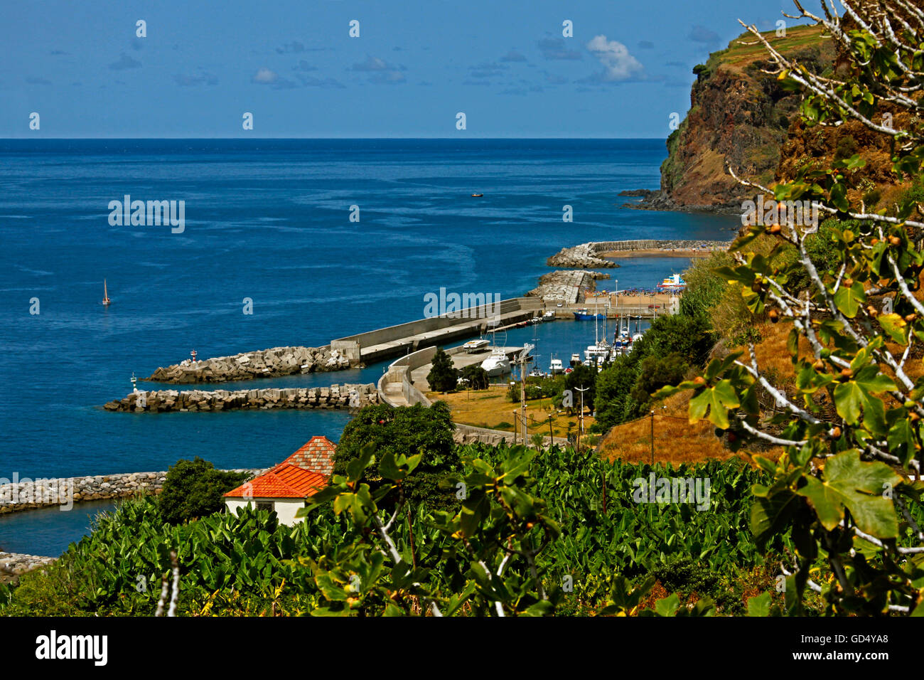 Fishing and Yacht harbour of Calheta, Island of Madeira, Portugal Stock ...