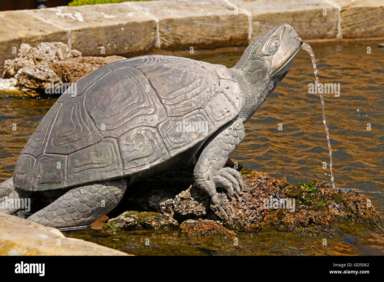 Turtle sculpture, water feature, Friedenstein castle, Gotha, Thuringia ...