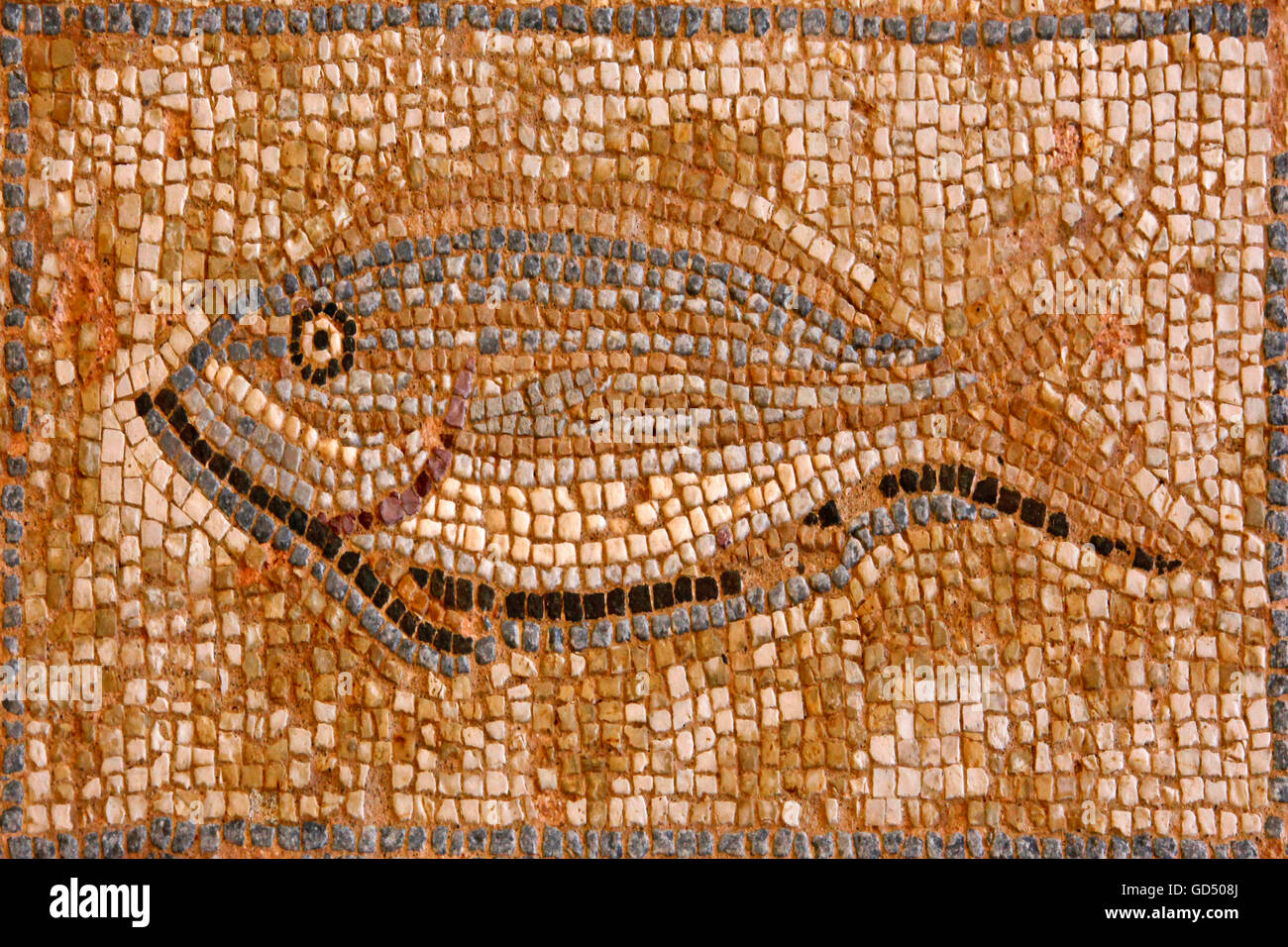 Mosaic fish, tessellated ground, House of the Eustolios, Kourion ...