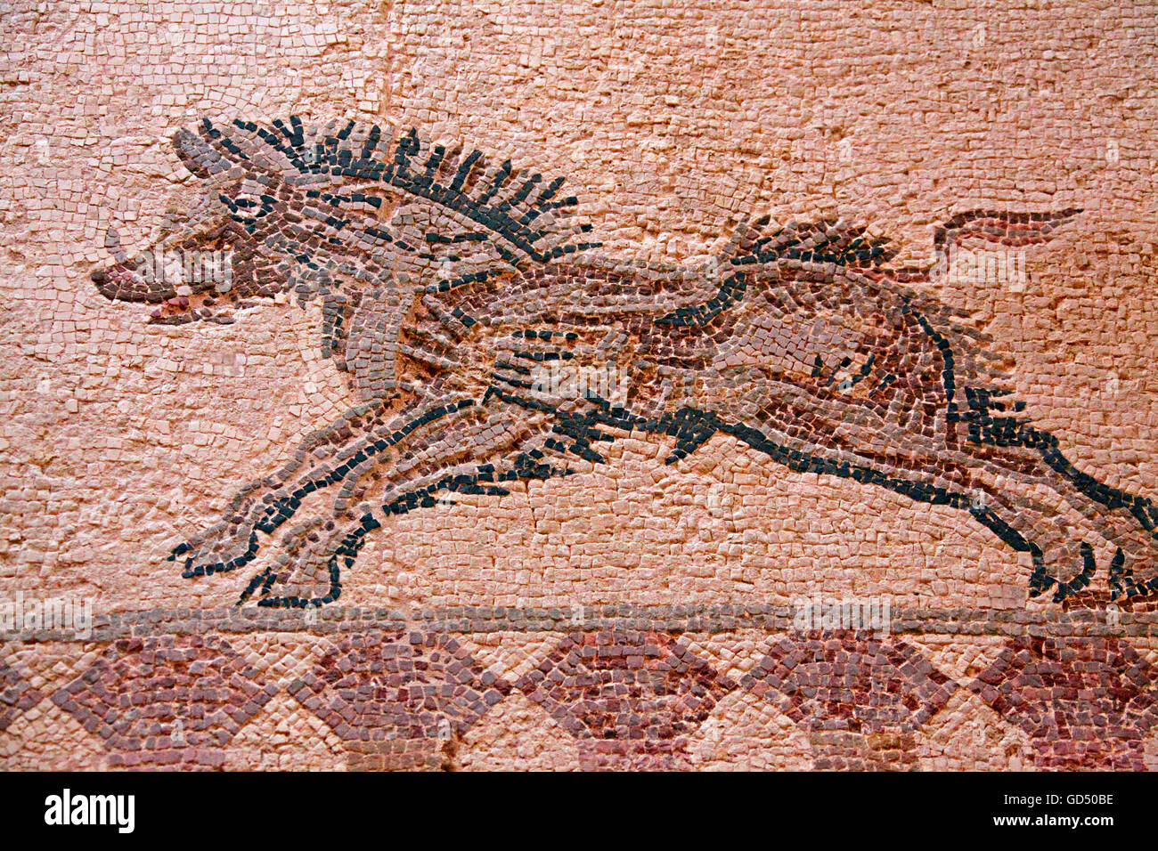 Mosaic wild boar, House of Dionysos, The northern Portico, Room 10 ...