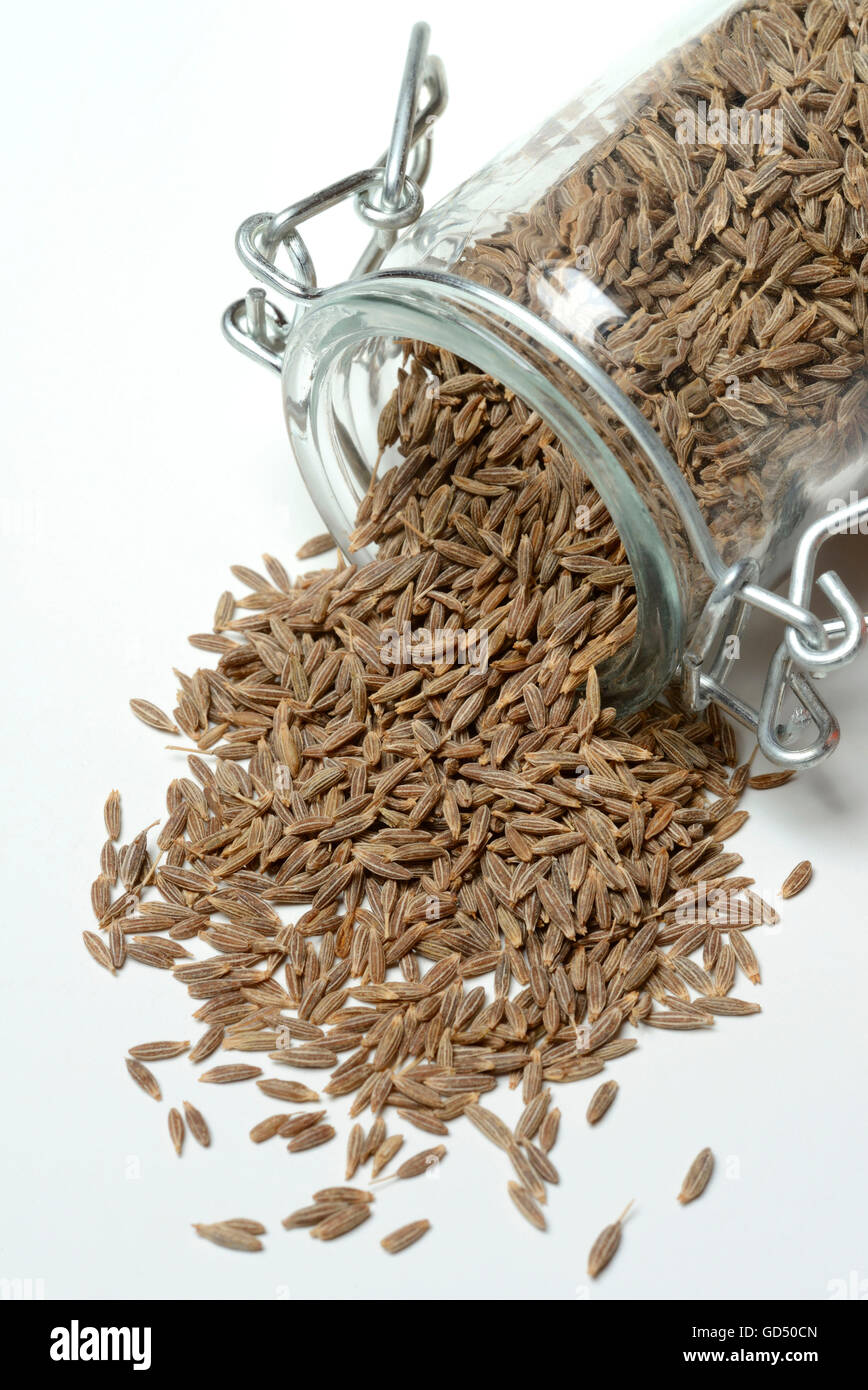 Samen High Resolution Stock Photography and Images - Alamy