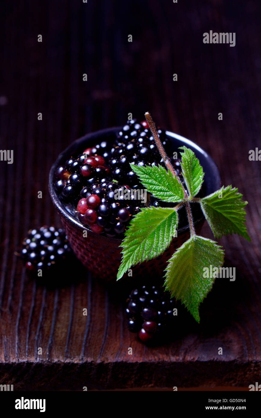 Brombeeren / (Rubus fruticosus Stock Photo - Alamy