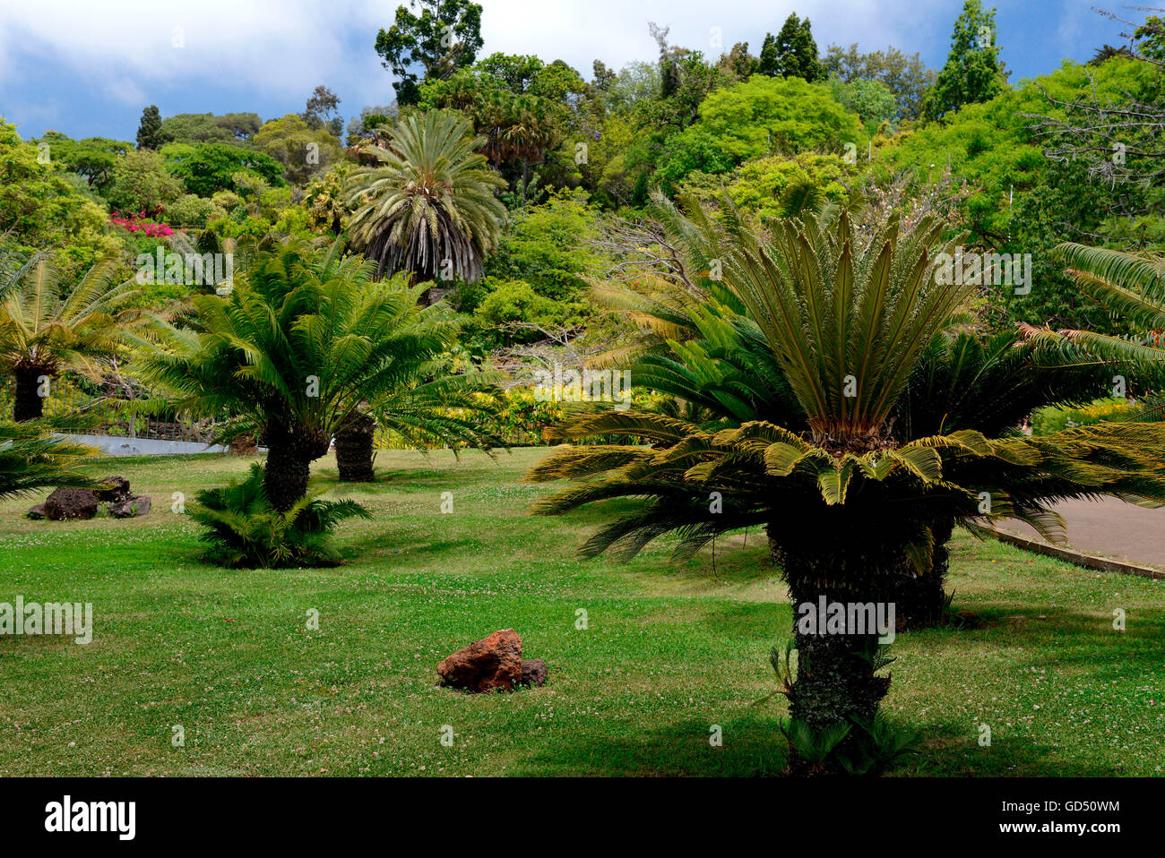 Botanischer Garten, Jardim Botanico da Madeira, Funchal, Madeira ...