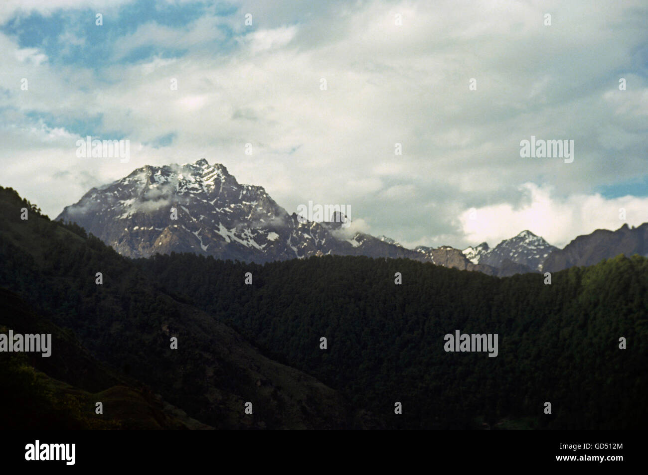 Api hi-res stock photography and images - Alamy