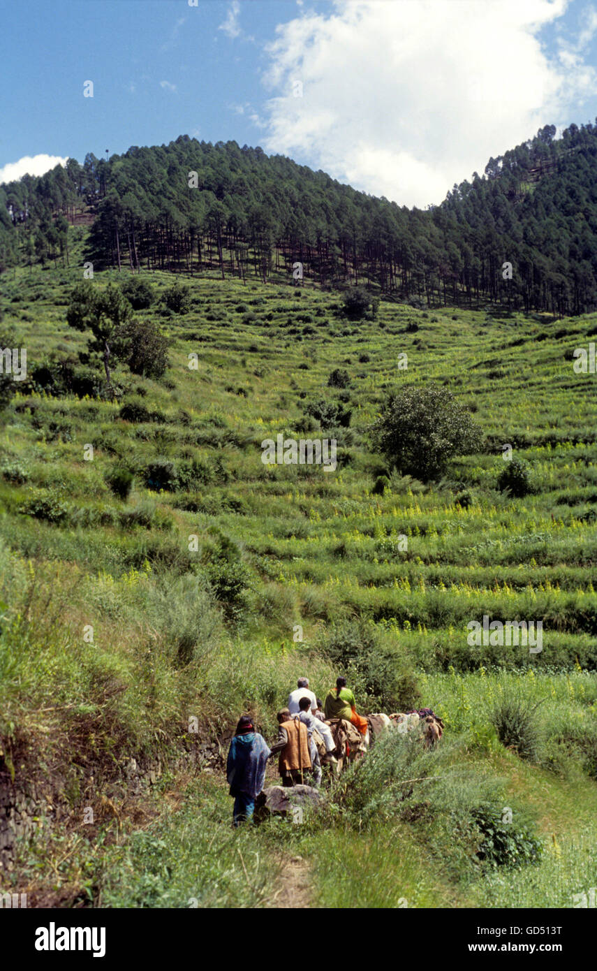 Group of trekkers Stock Photo - Alamy