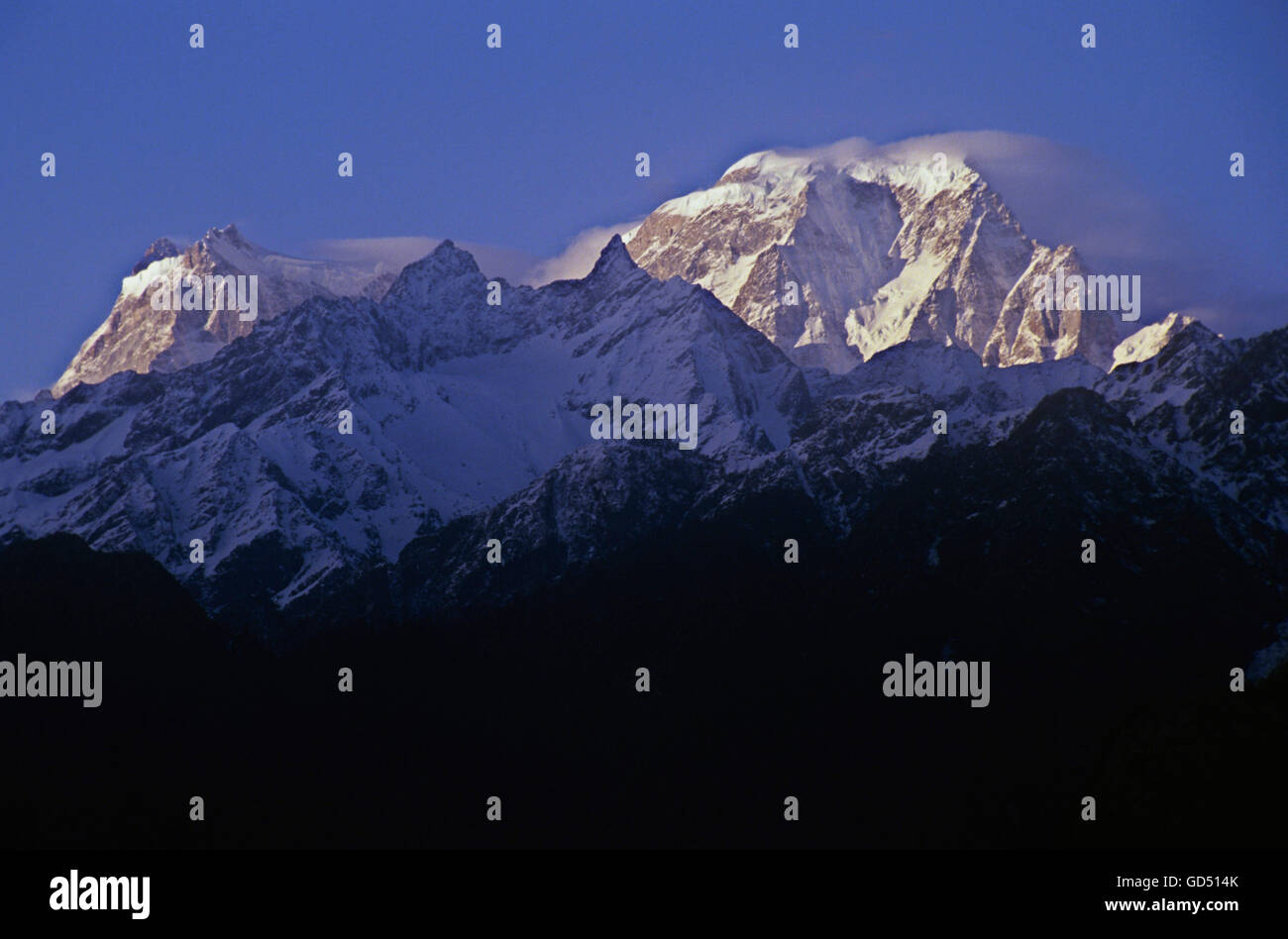 Hathi hi-res stock photography and images - Alamy