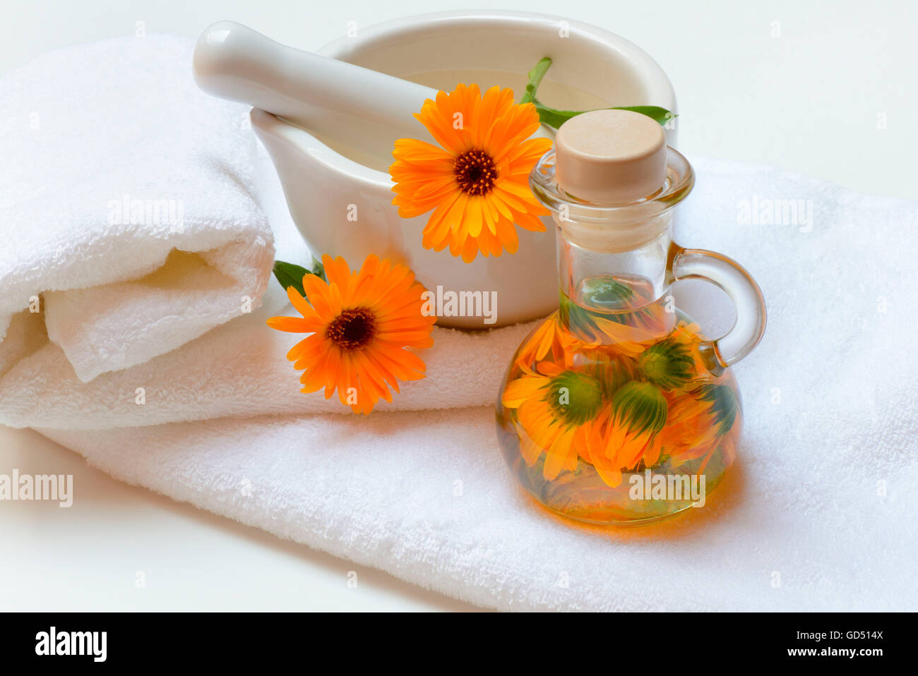 Marigold oil, Calendula officinalis Stock Photo - Alamy