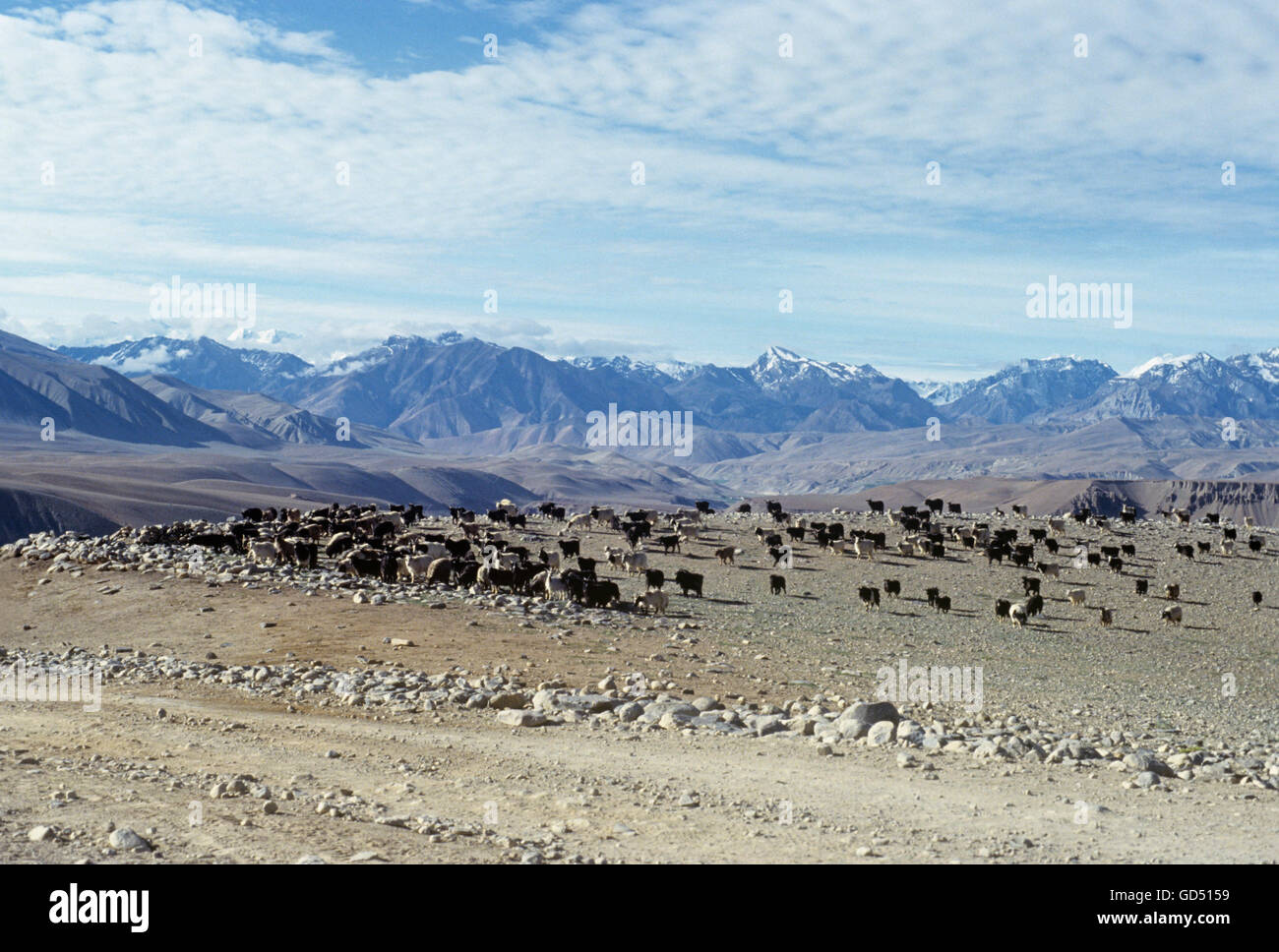 Mount kailash scenic hi-res stock photography and images - Alamy