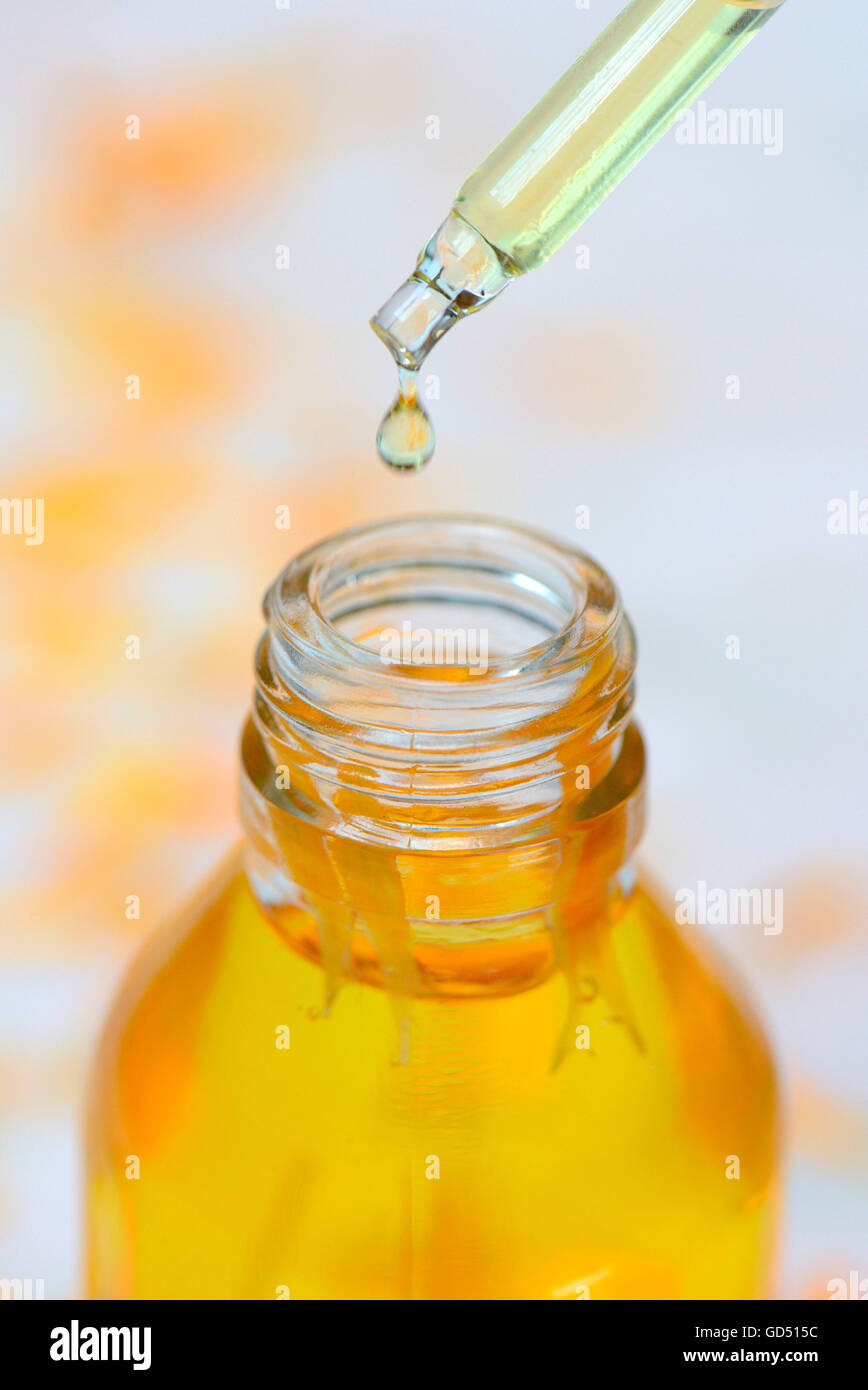Marigold tincture, Calendula officinalis Stock Photo - Alamy