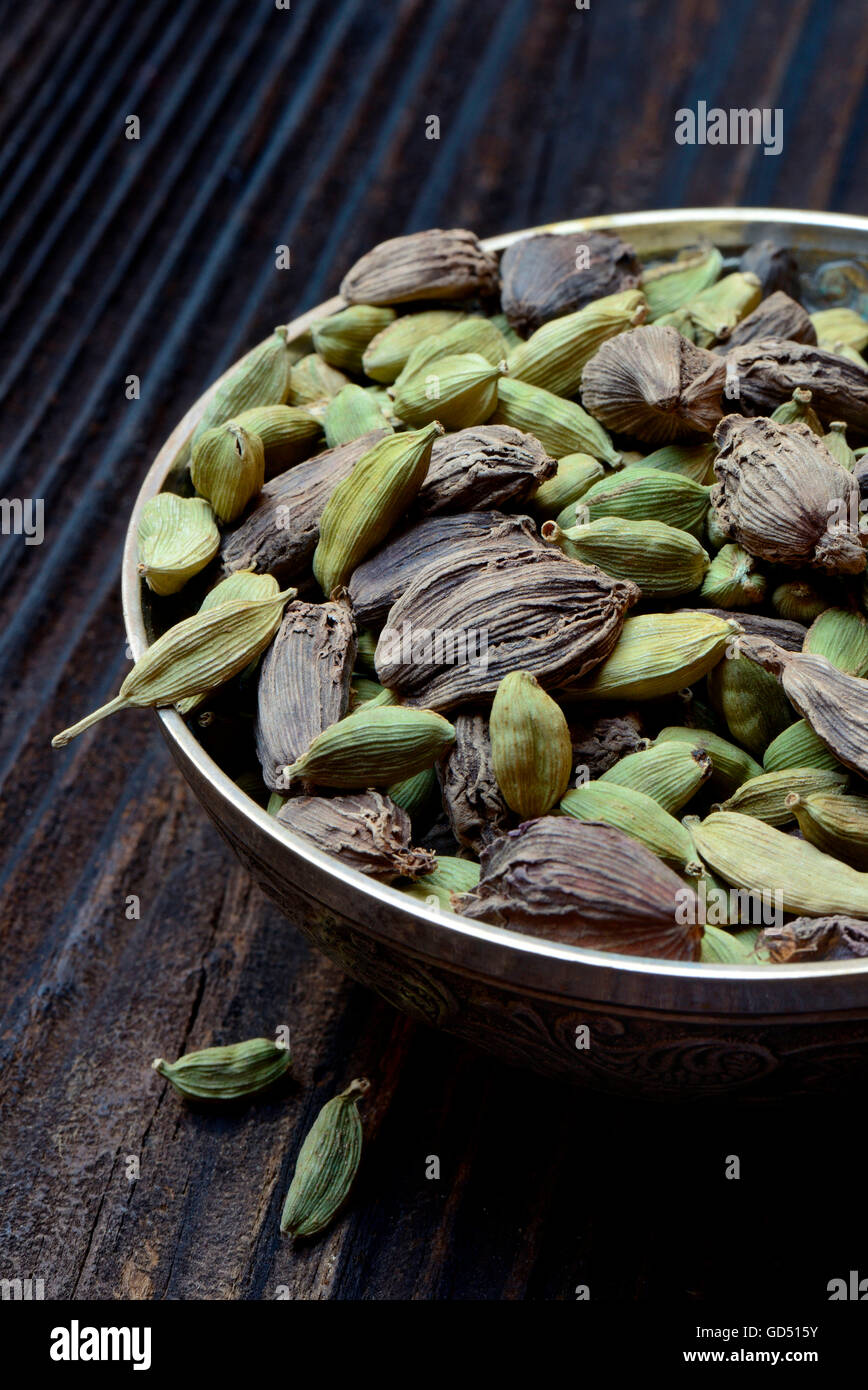 Matonia Cardamomum High Resolution Stock Photography and Images - Alamy