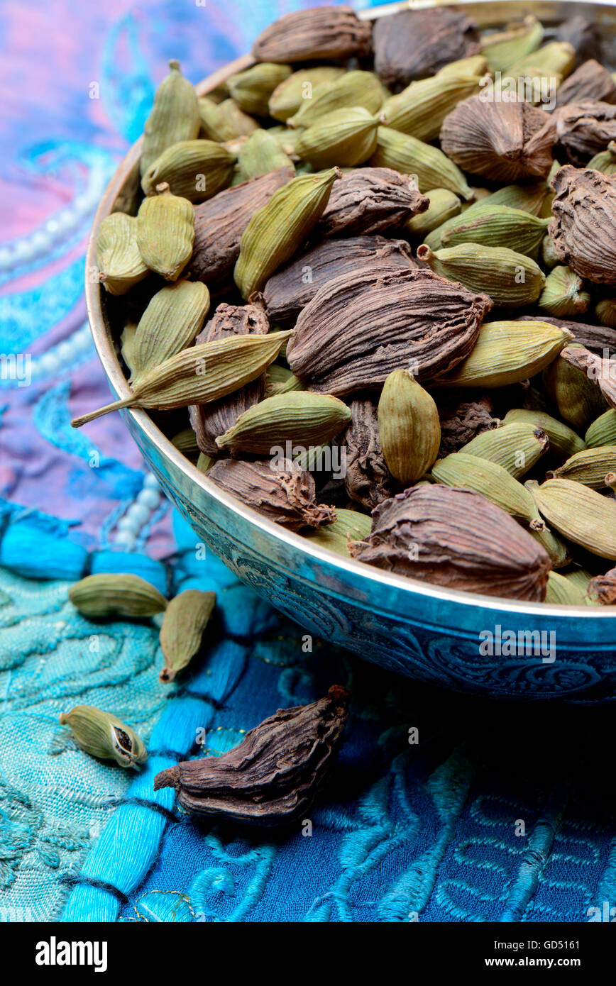 Gruener und Schwarzer Kardamom in Schale, Elettaria cardamomum, Amomum ...
