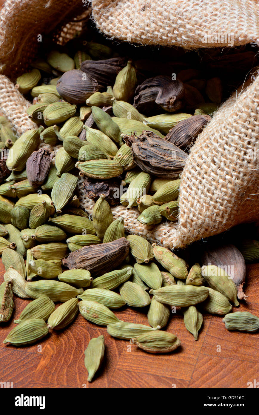 Gruener und Schwarzer Kardamom in Jutesack, Elettaria cardamomum ...