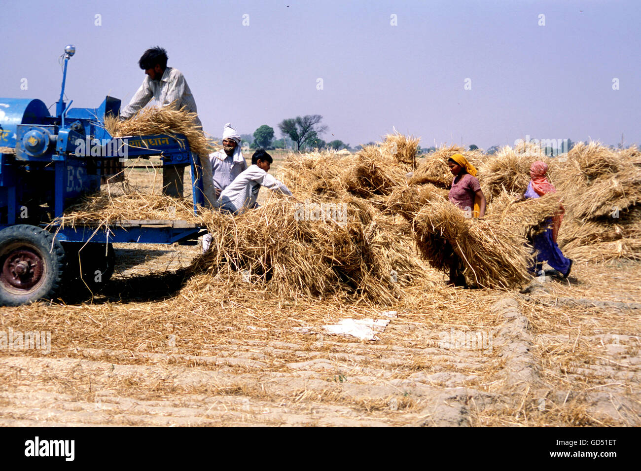 Thrashing hi-res stock photography and images - Alamy