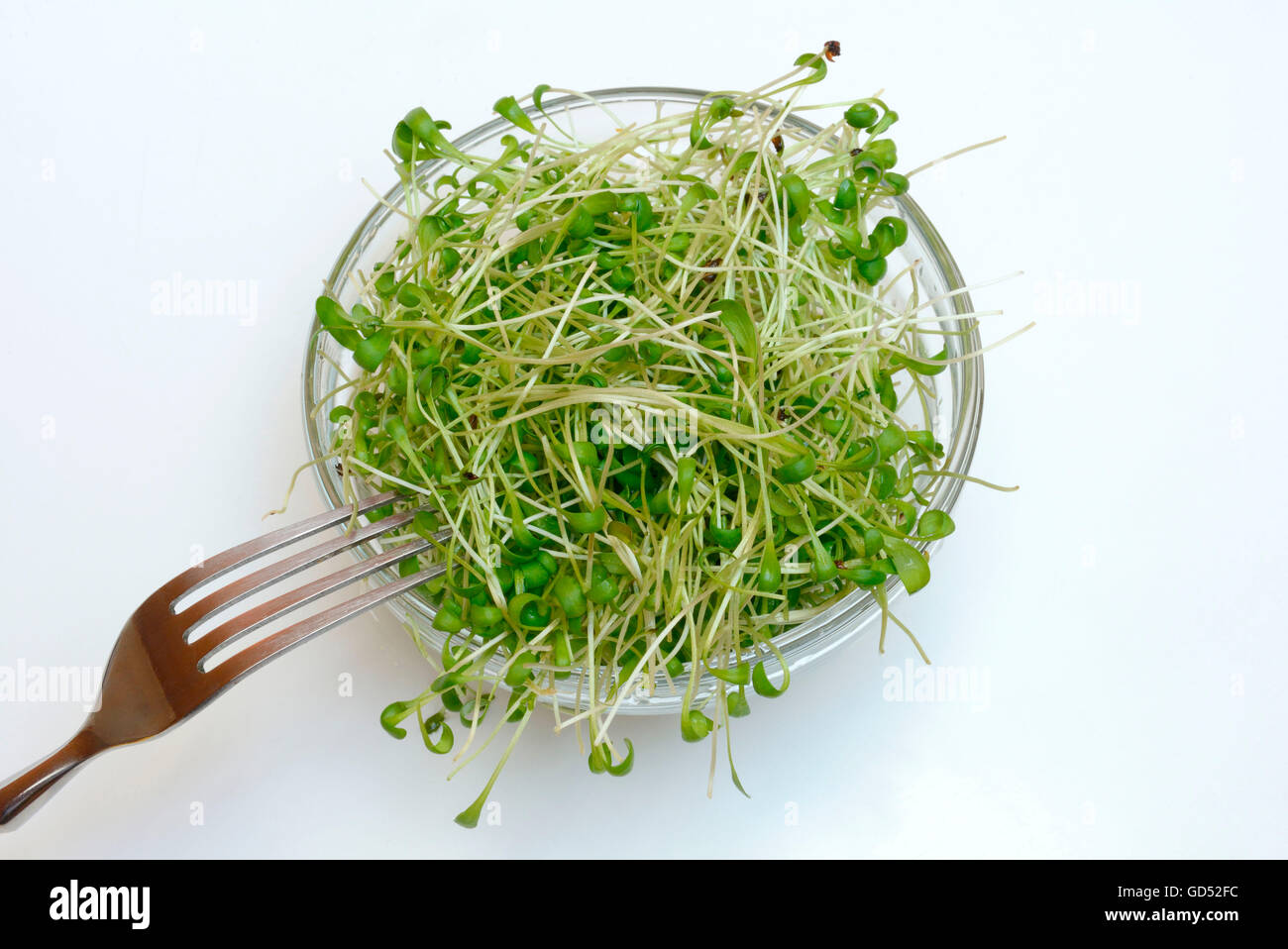 Lepidium hi-res stock photography and images - Alamy