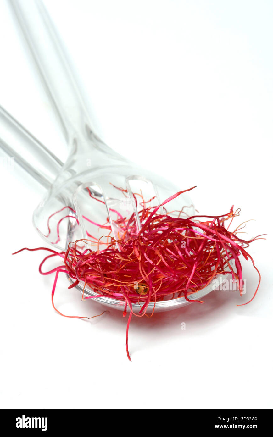 Beetroot sprouts / (Beta vulgaris Stock Photo - Alamy