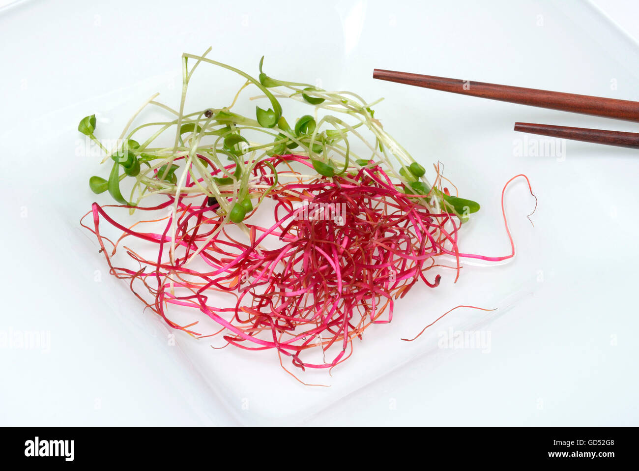 Beta vulgaris garden hi-res stock photography and images - Alamy