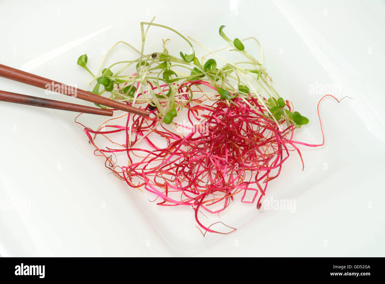 Beetroot sprouts, Garden cress sprouts / (Beta vulgaris), (Lepidium ...