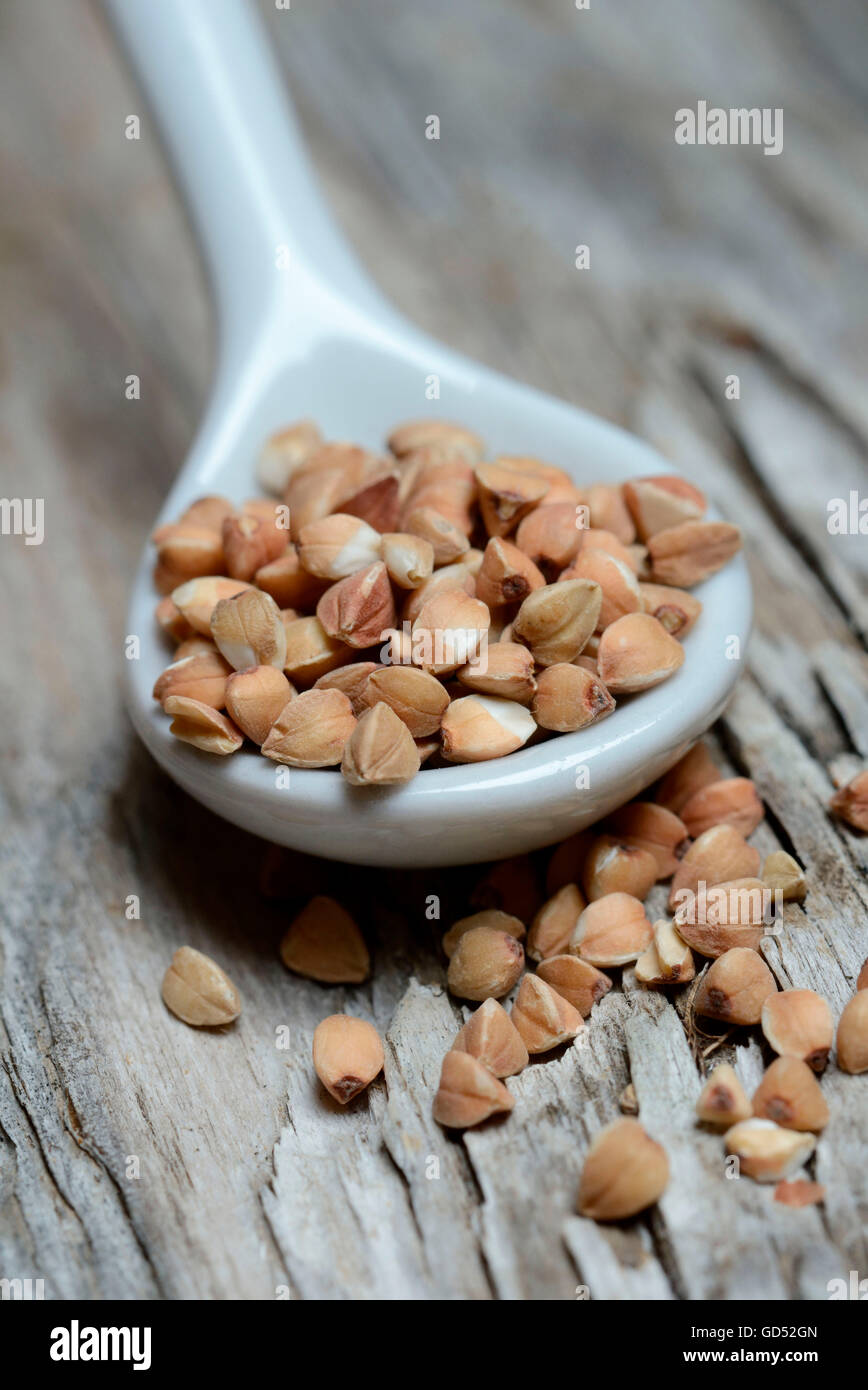 Buckwheat fagopyrum esculentum hi-res stock photography and images - Alamy