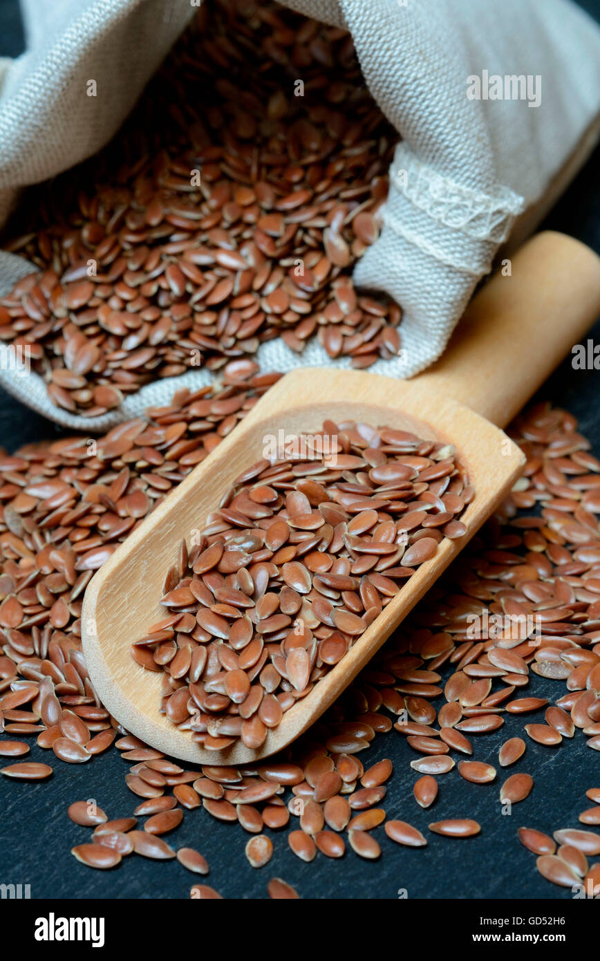 Linum usitatissimum hi-res stock photography and images - Alamy