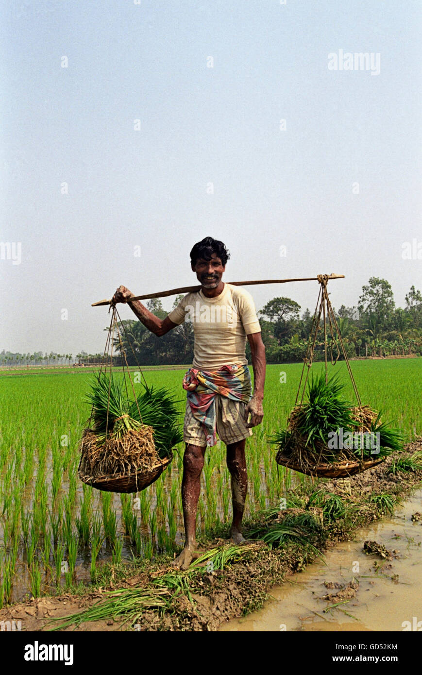 A farmer hi-res stock photography and images - Alamy