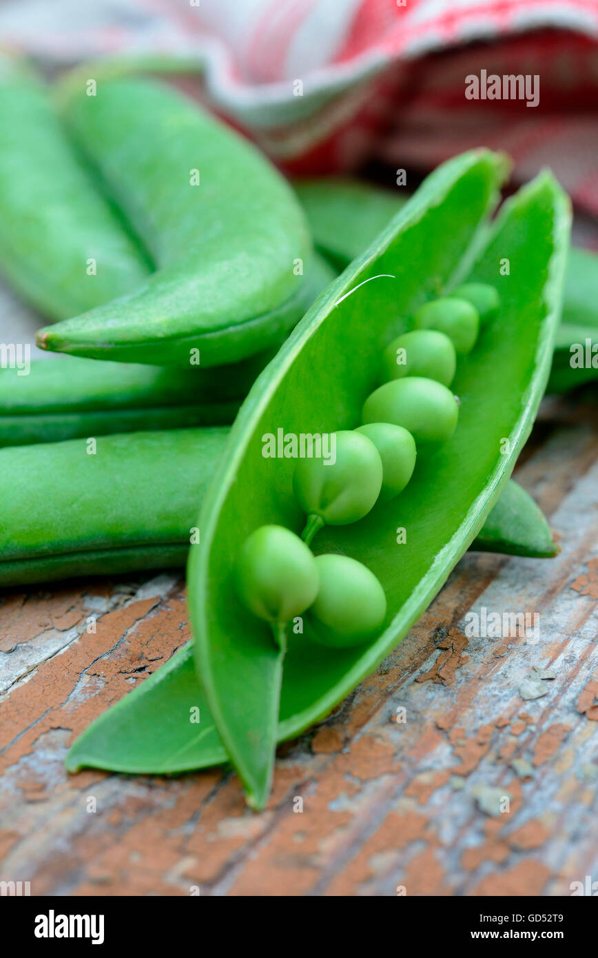 Garden pea, opened peapod / (Pisum sativum Stock Photo - Alamy
