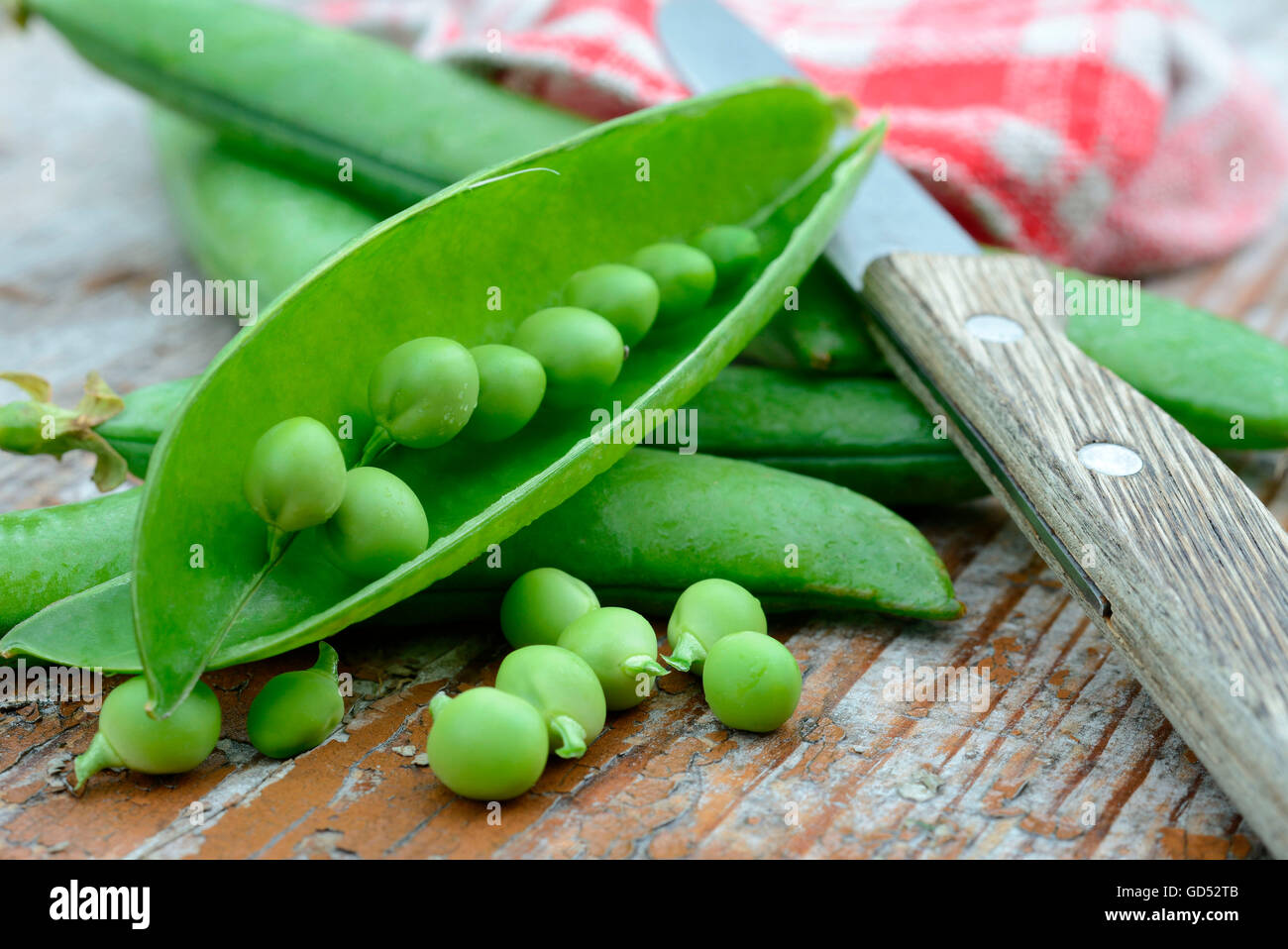 Garden pea (pisum sativum) hi-res stock photography and images - Alamy