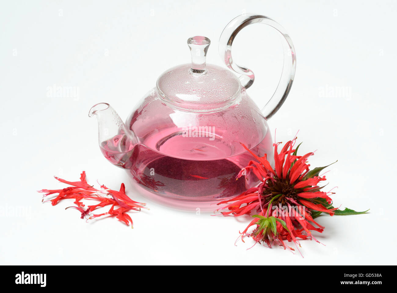 Monarda tea hi-res stock photography and images - Alamy
