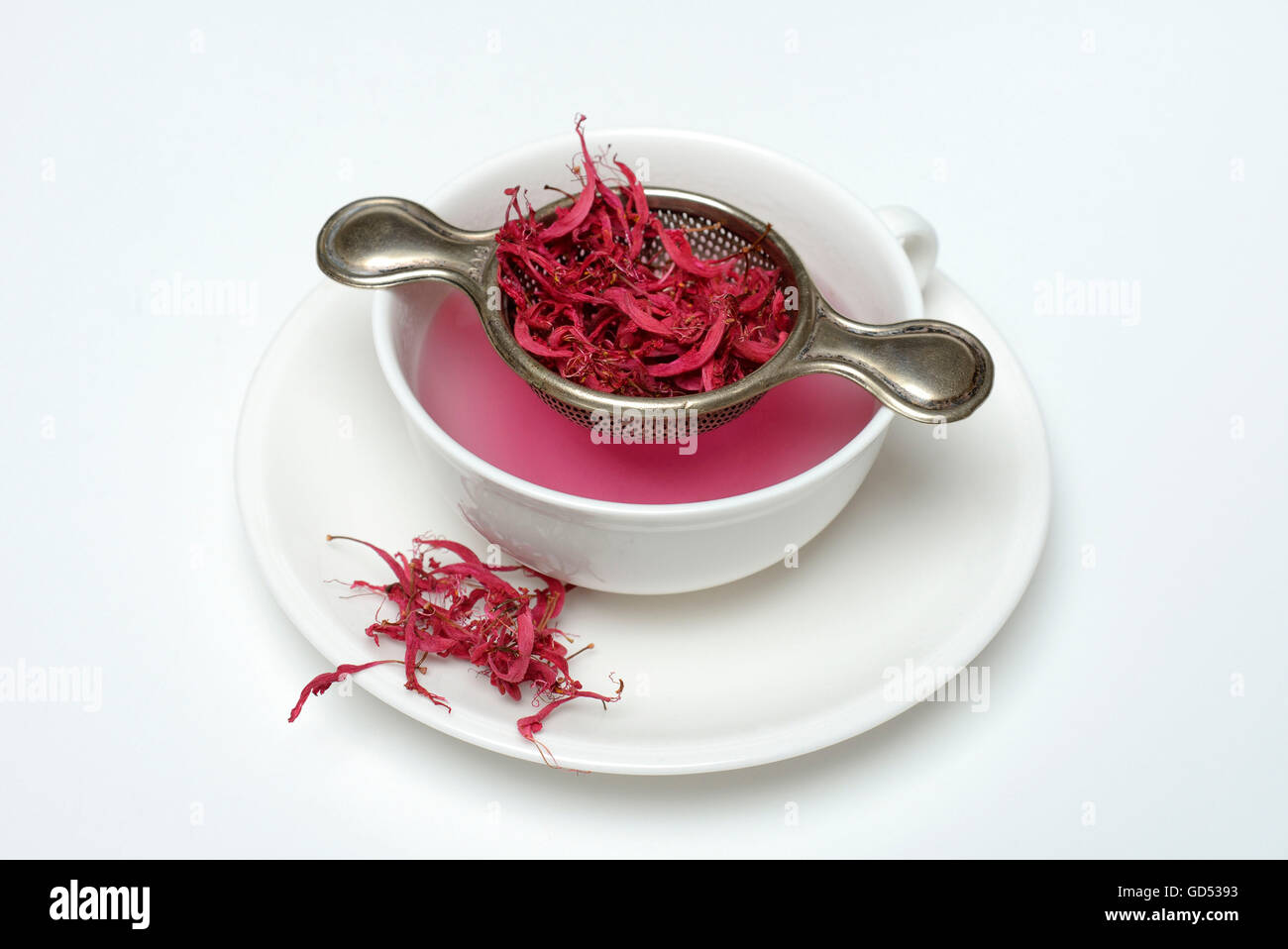 Monarda tea, Monarda hybride Stock Photo - Alamy