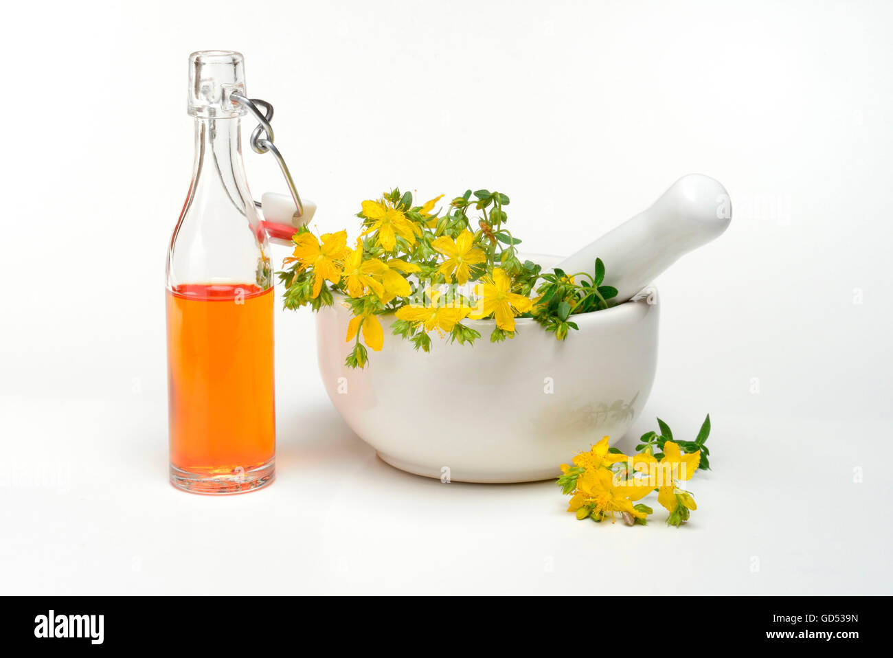 Perforate St. John's wort, mortar, oil / (Hypericum perforatum Stock ...