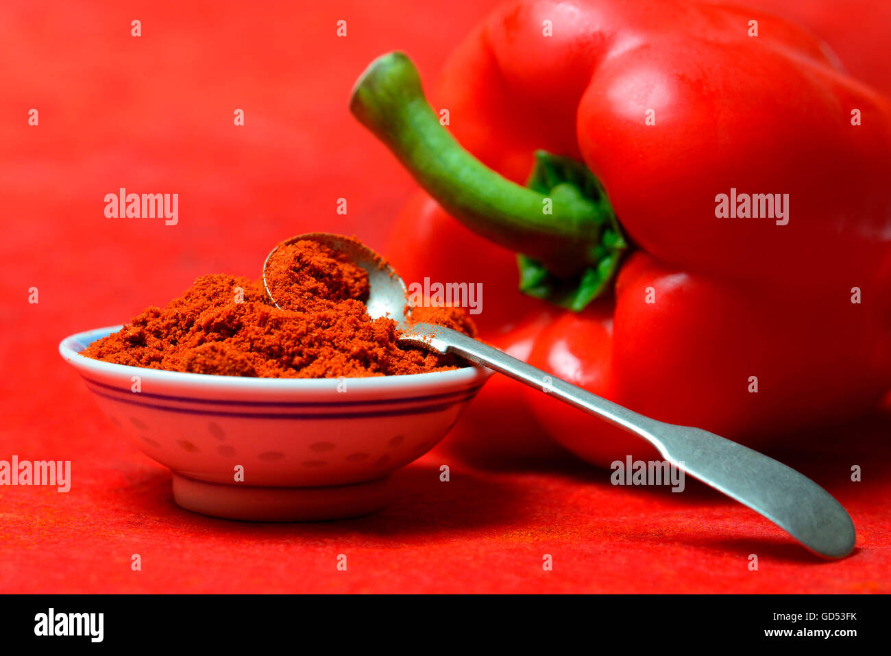 Paprika powder, pepper powder, chili powder / (Capsicum annuum Stock ...