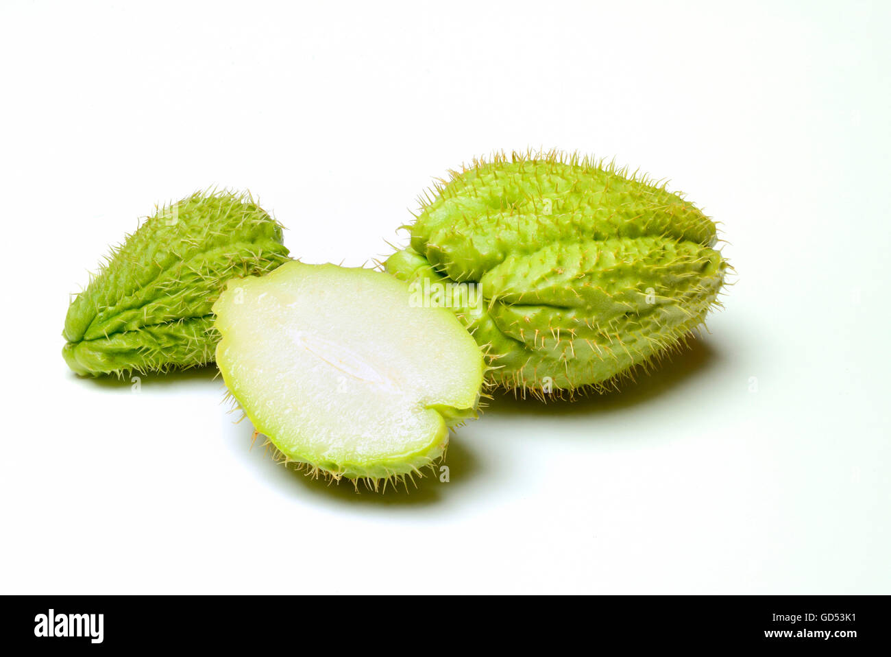 Chayote / (Sechium edule Stock Photo - Alamy