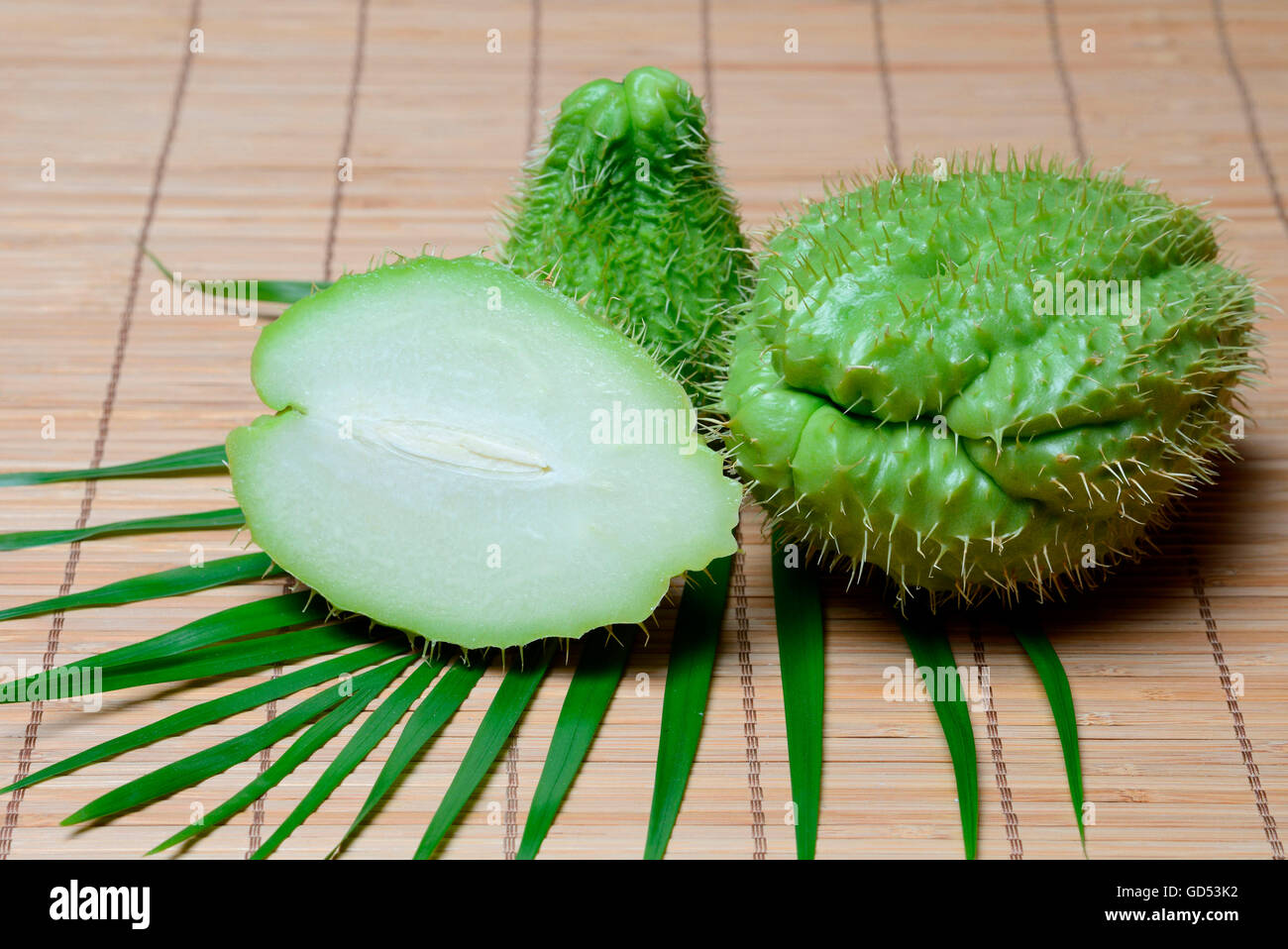 Chayote / (Sechium edule Stock Photo - Alamy