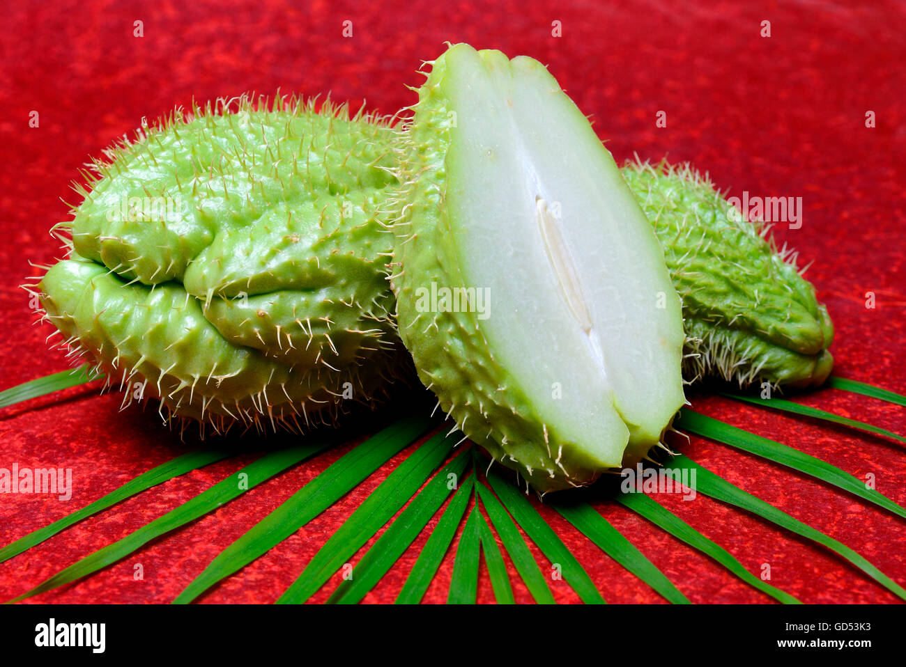 Chayote / (Sechium edule Stock Photo - Alamy