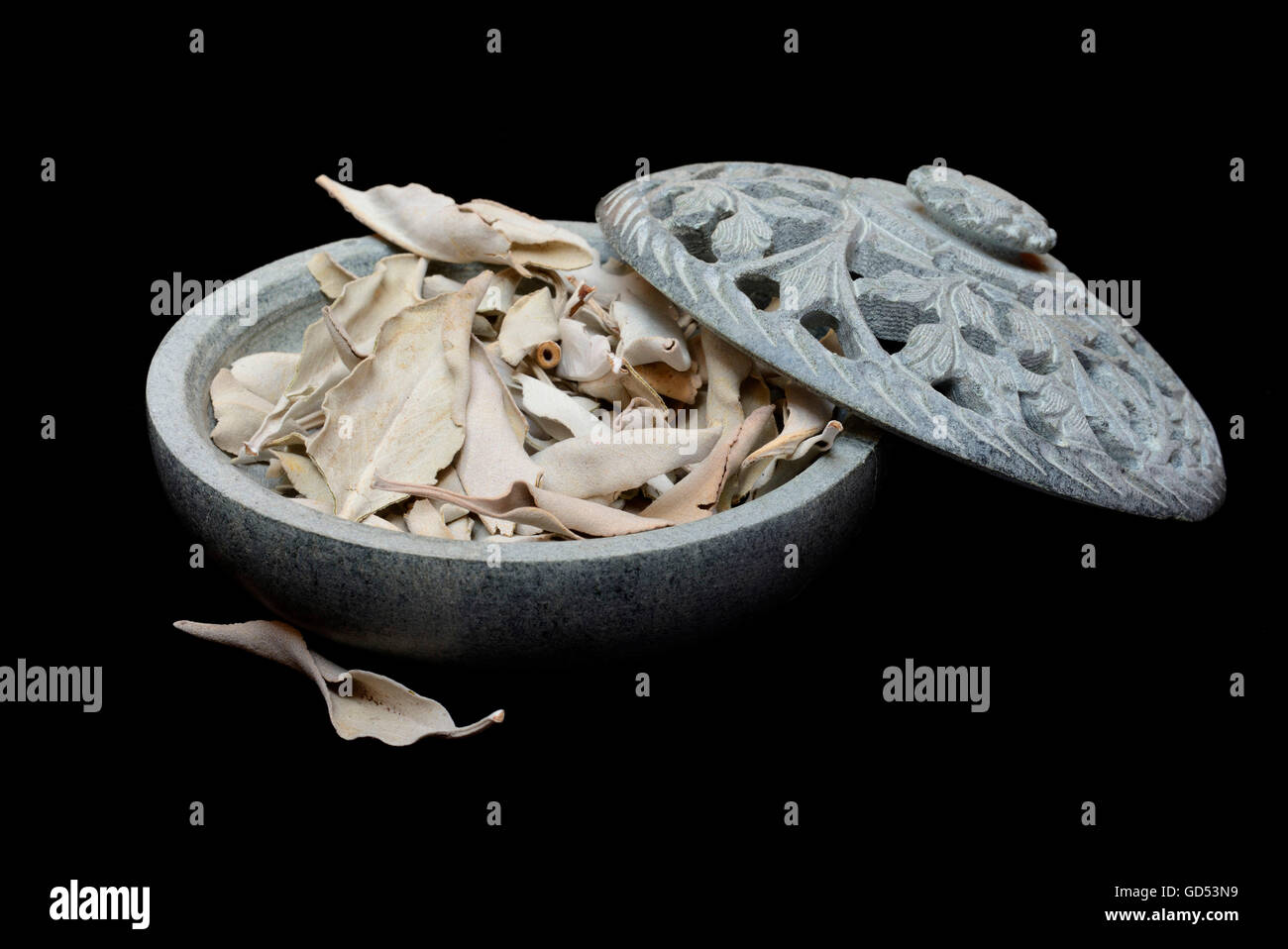 White Sage / (Salvia apiana Stock Photo - Alamy