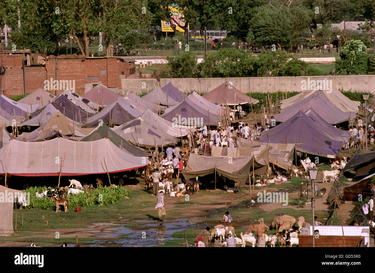 Id tents hi-res stock photography and images - Alamy