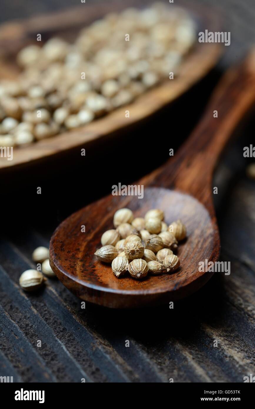 Koriandersamen hi-res stock photography and images - Alamy