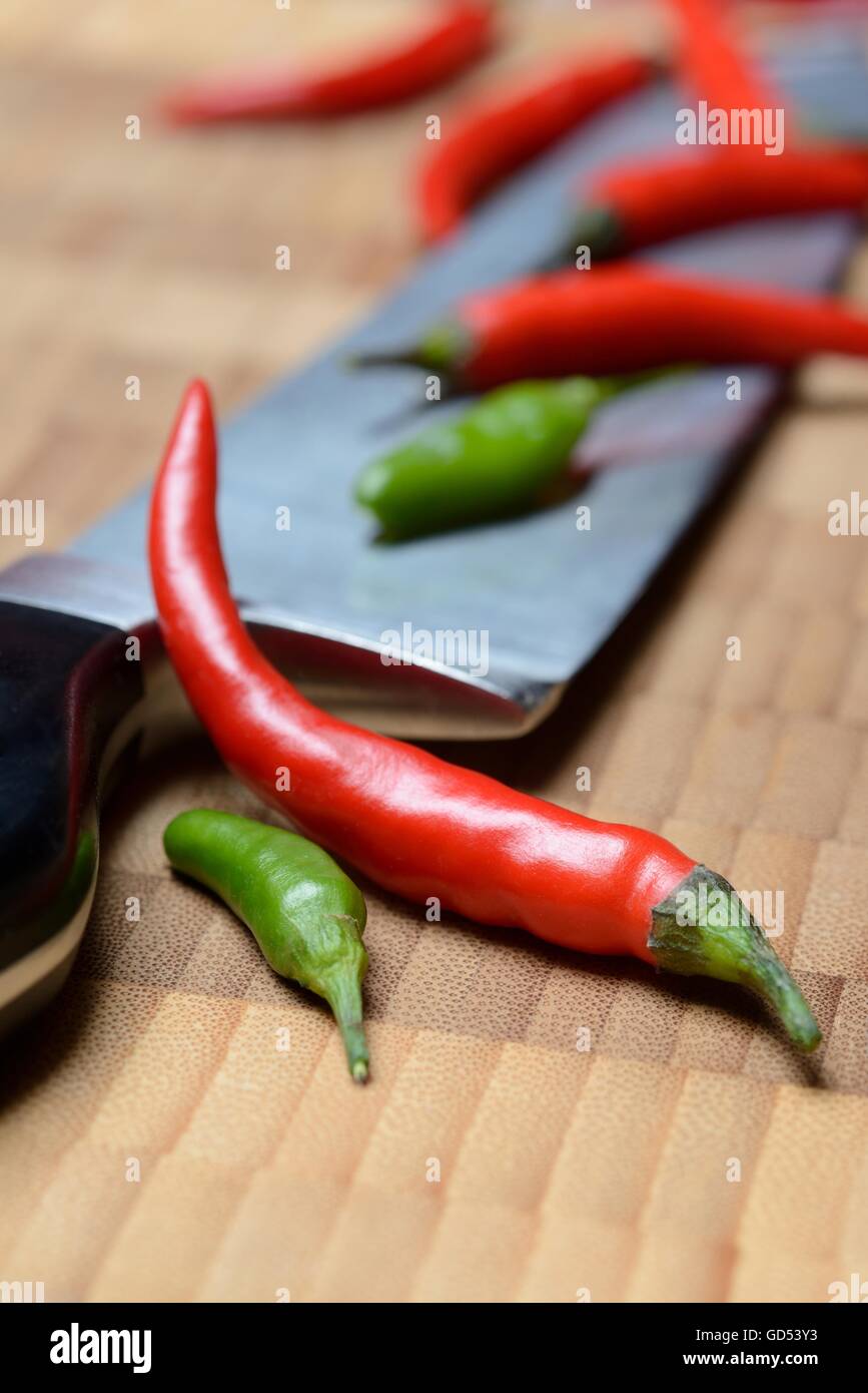 Chili pepper (Capsicum annuum Stock Photo - Alamy