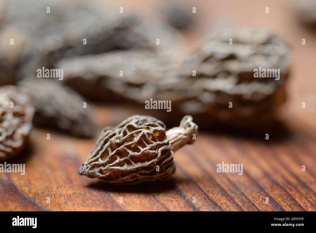 dried morels / (Morchella conica Stock Photo - Alamy