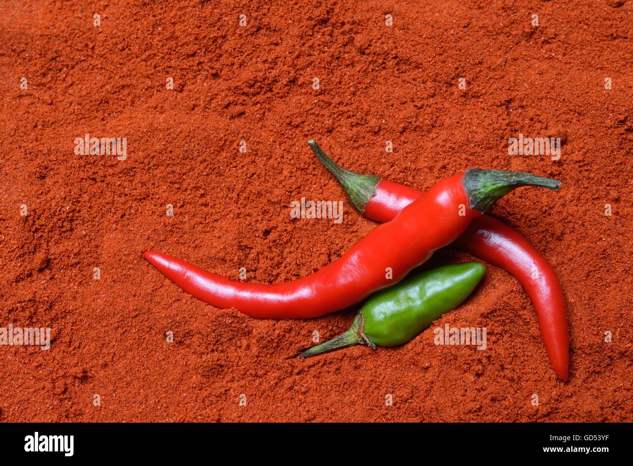 Chili peppers capsicum annuum hi-res stock photography and images - Alamy