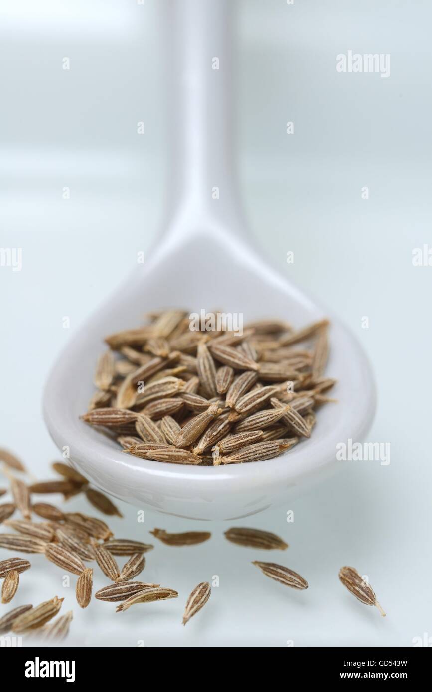 Cumin seed on porcelain spoon / (Cuminum cyminum Stock Photo - Alamy