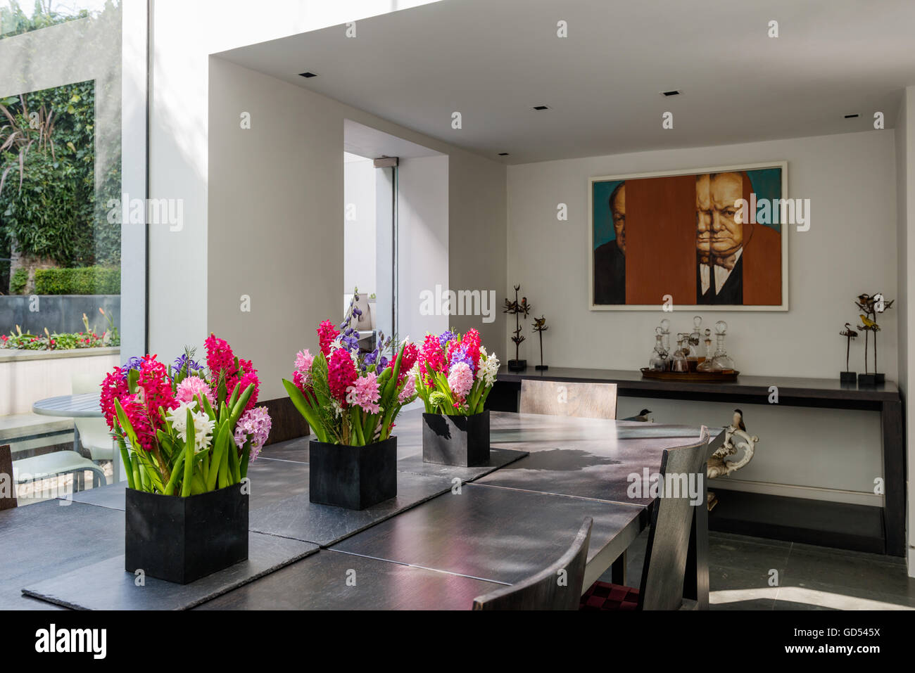 Hyacinths on dining table in room with portrait of Winston Churchill ...